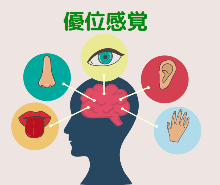 優位感覚をコミュニケーションに生かす!VAK理論と活用方法 | 一般社団法人 日本NLP能力開発協会 優位感覚をコミュニケーションに生かす!VAK理論と活用方法 | 一般社団法人 日本NLP能力開発協会