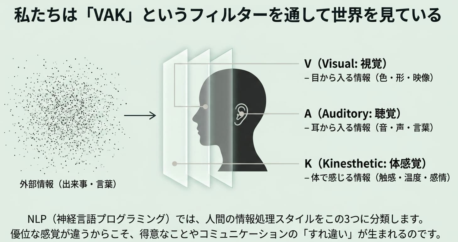 優位感覚（VAK）をコミュニケーションに生かす！視覚・聴覚・体感覚タイプの特徴と活用方法 | 一般社団法人 日本NLP能力開発協会
